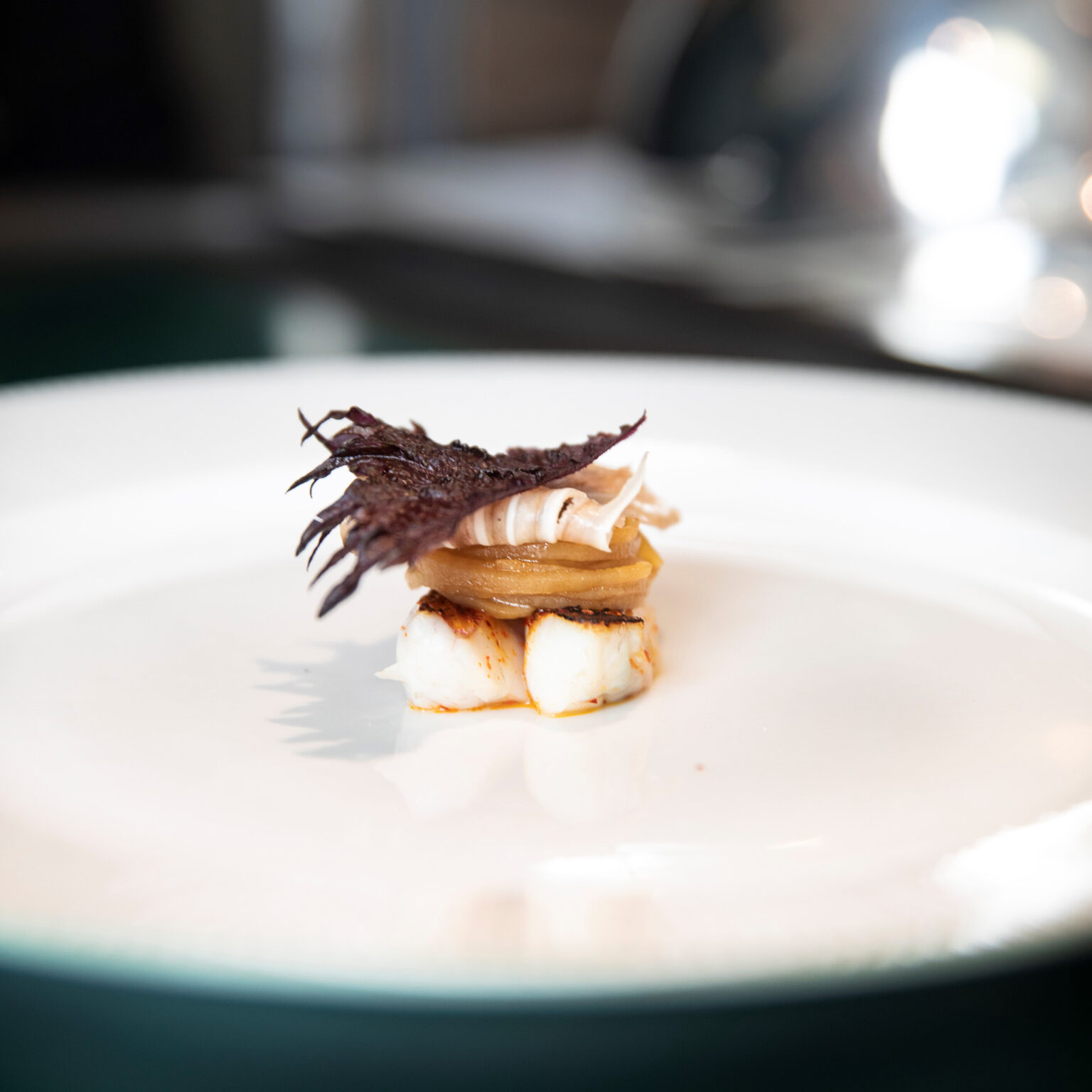 Homepage - Le Clarence