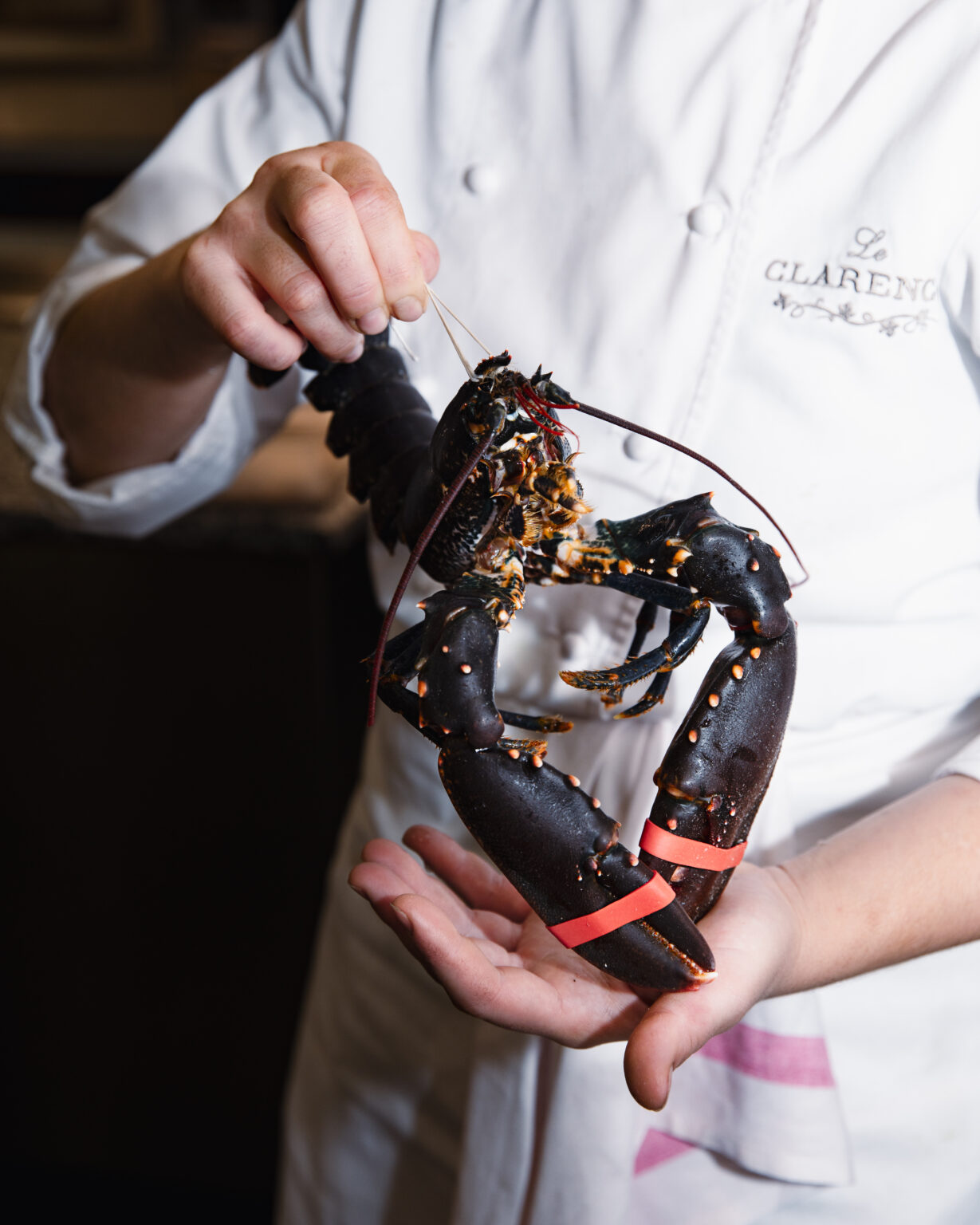 The restaurant - Le Clarence